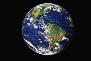 Purchasing BioSolve Pinkwater